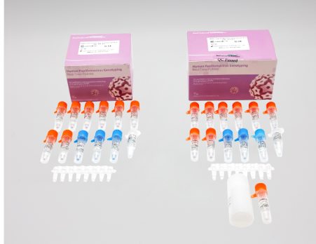 Bioperfectus Human Papillomavirus Genotyping Real Time PCR Kit